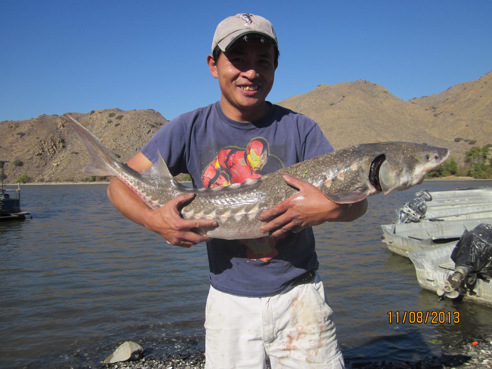CURRENT FISH REPORT 11/13/13 - FishingLakes.com